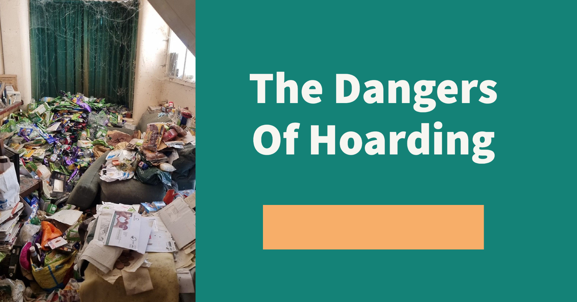 - Hoarding Clean Up