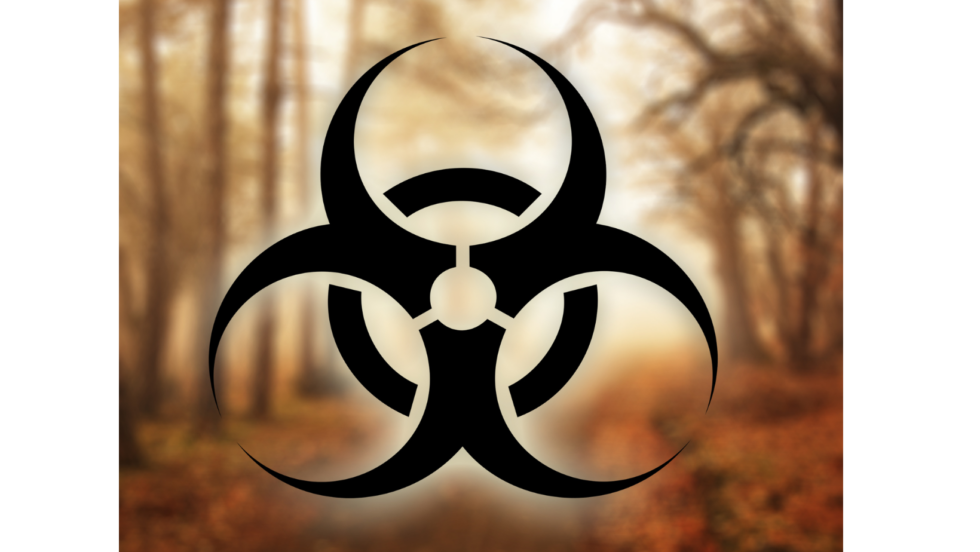 What Is Trauma Cleaning and After Death Clean-Up And Why It's Important