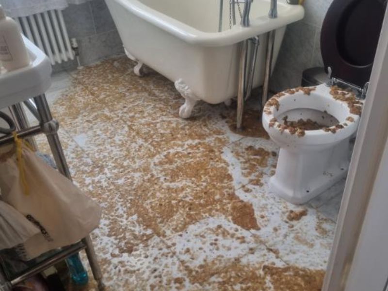 Can Cleaning Sewage Make You Ill? Vital Role of Professional Flood and ...