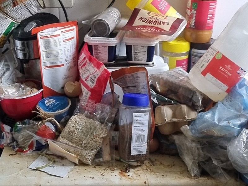 Unveiling the Truth: Does Landlord's Insurance Cover Hoarding Clean-up ...