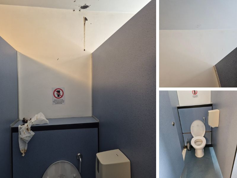 Cleaning Faeces from a Toilet: Tips for Trauma Scene Cleaning - Trauma ...