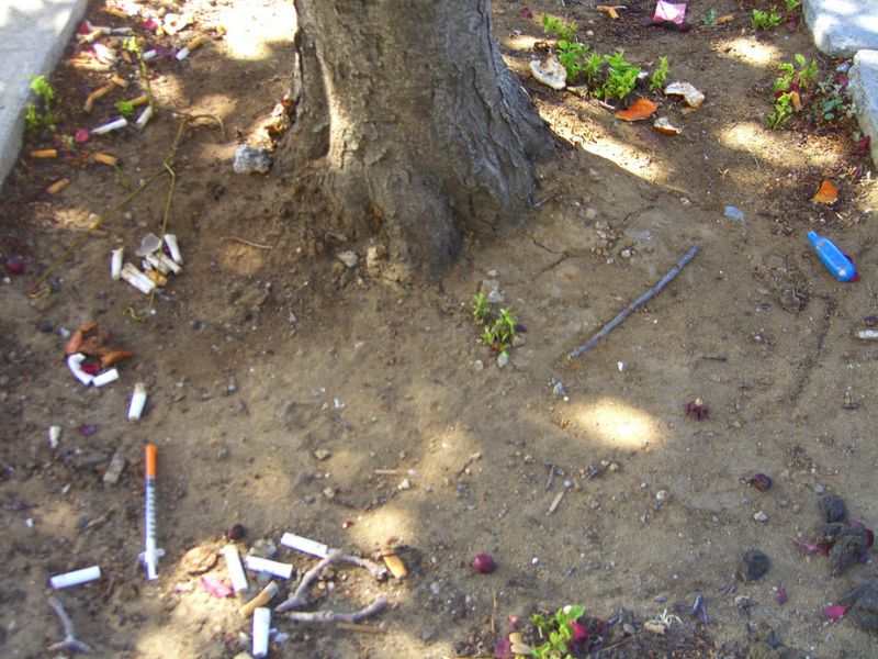 The Environmental Impact of Improper Needle Clean Up - Trauma Clean